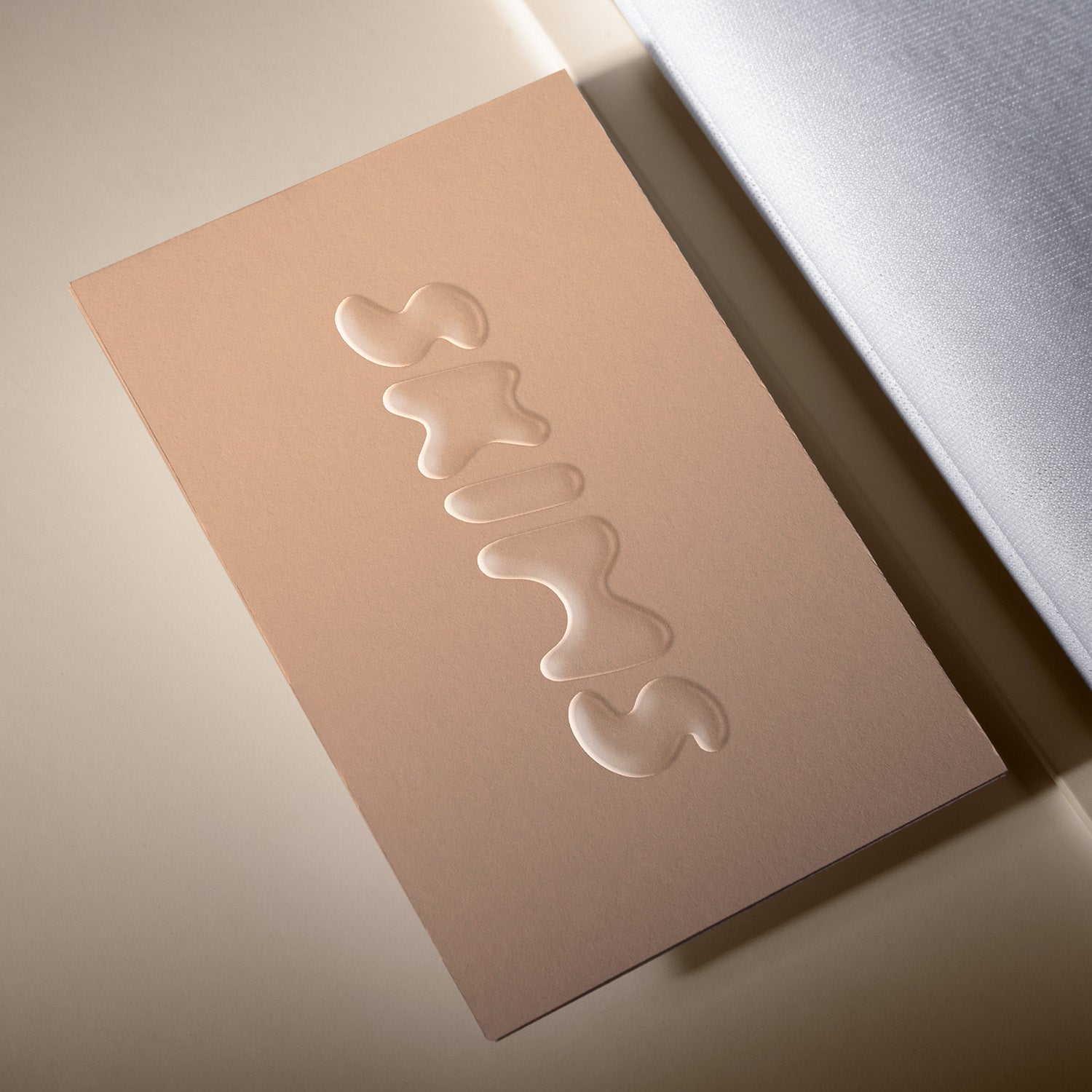 Raised Gloss Business Cards – Printesta